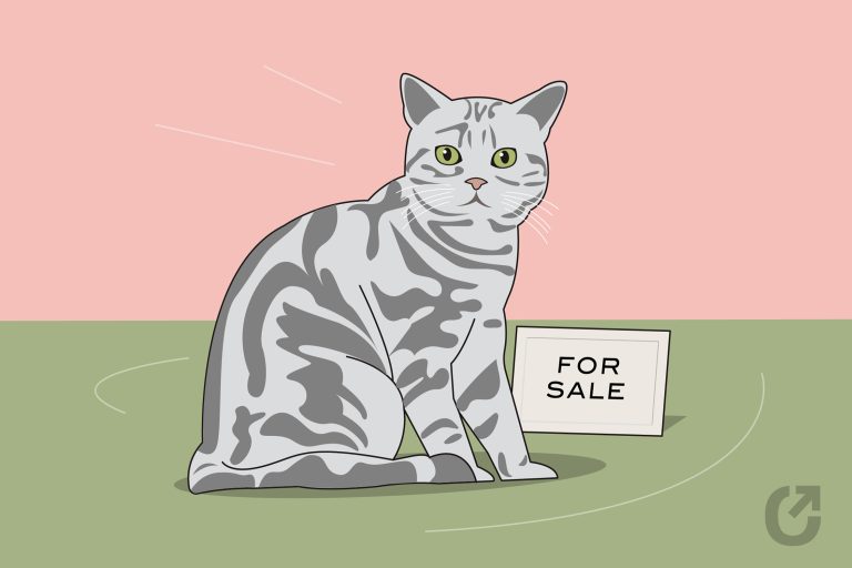 Free Cat / Kitten Bill of Sale Form | PDF | WORD | RTF
